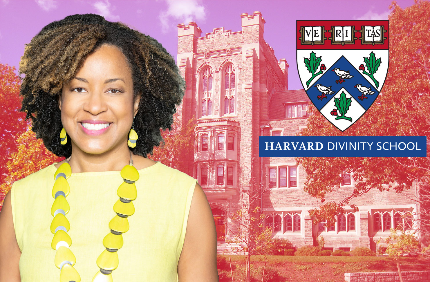 Marla Frederick Will Be the Next Dean of Harvard Divinity School | The ...